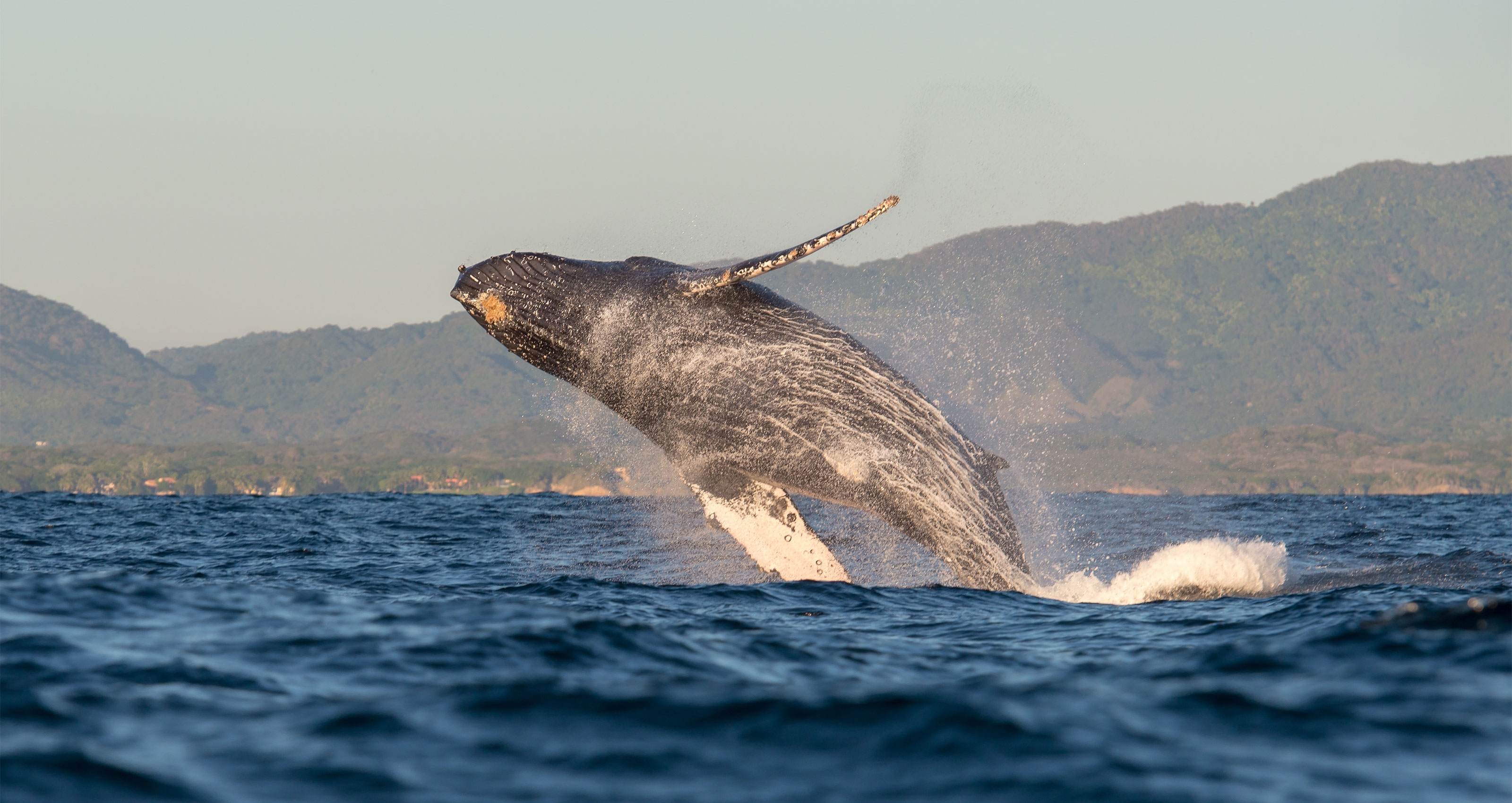 Escape to Vancouver Island | Centurion Magazine